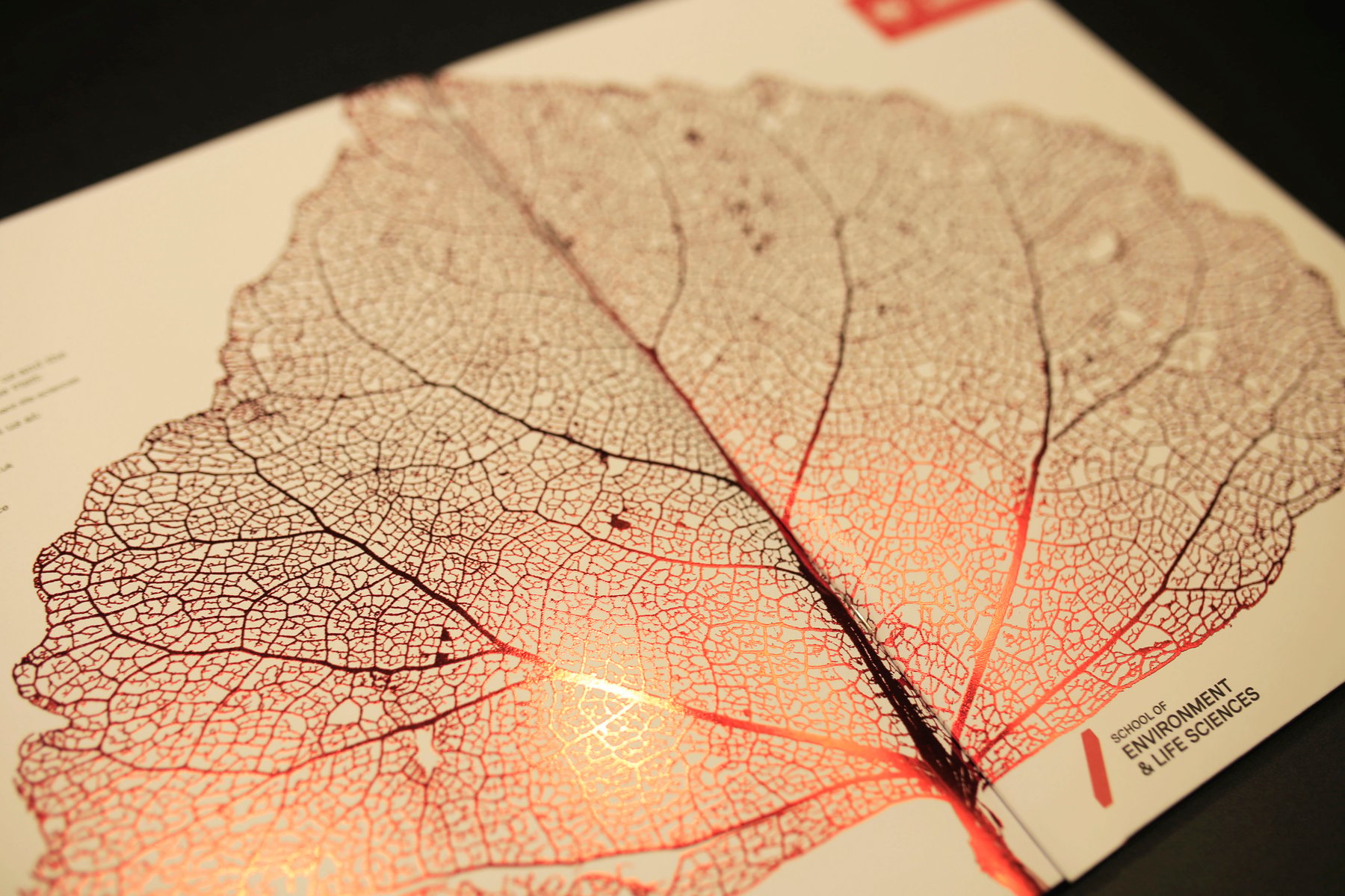 What is Foil Printing? - The Beginners Guide | B&B Press