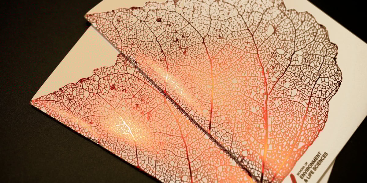 What is Foil Printing? - The Beginners Guide | B&B Press