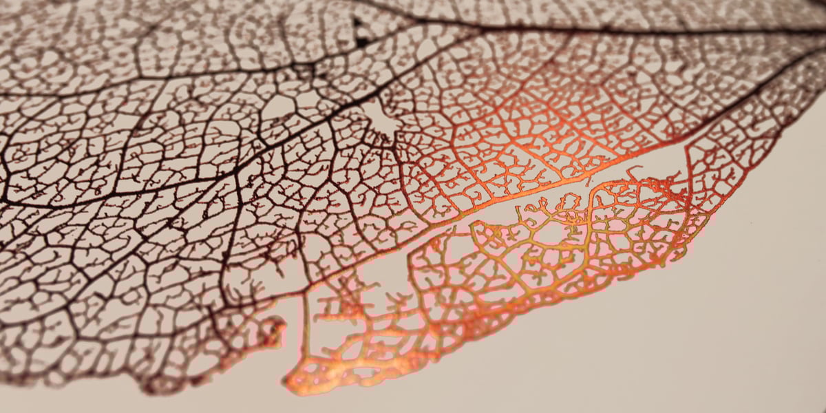 What is Foil Printing? - The Beginners Guide | B&B Press