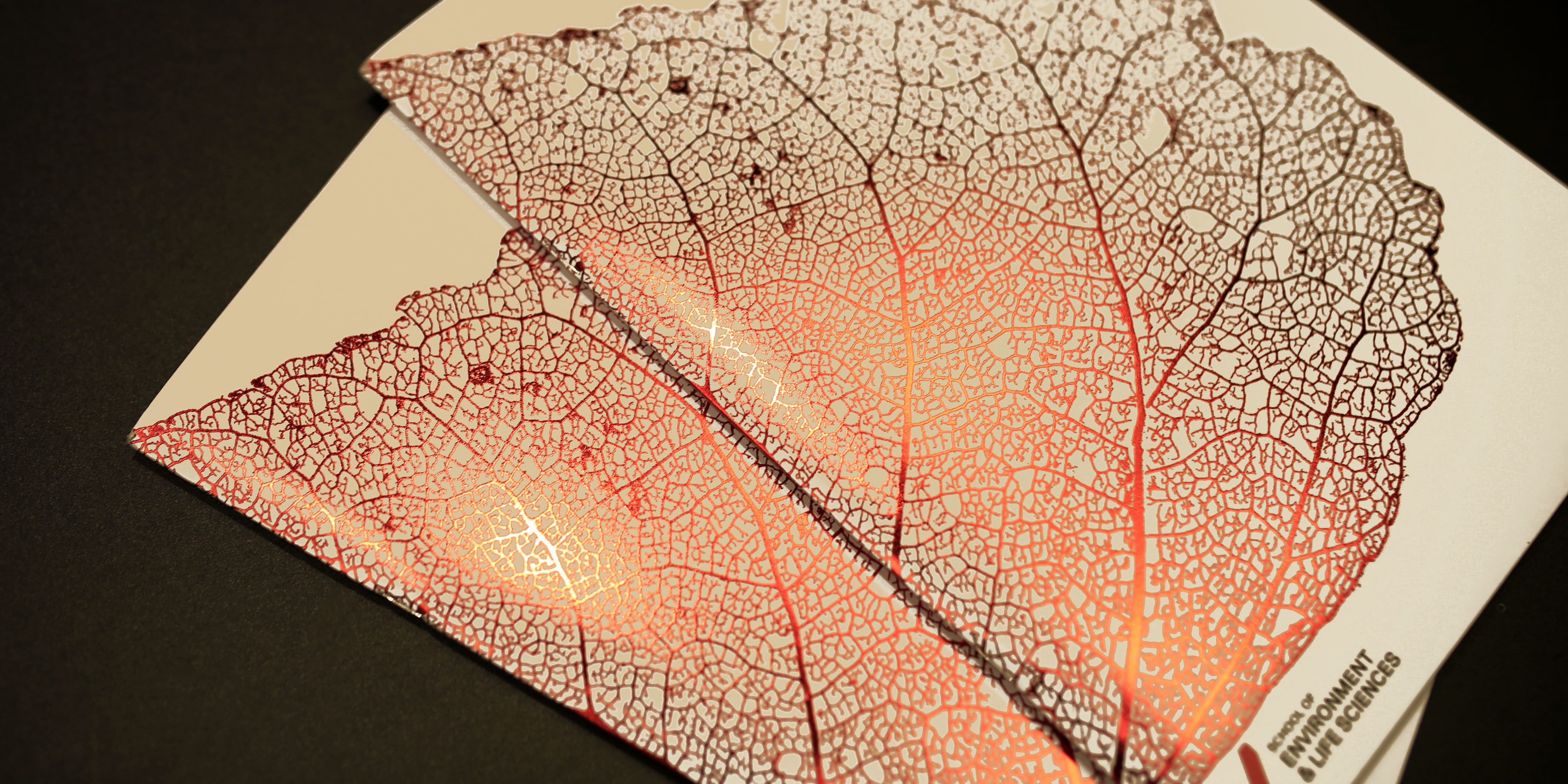Is Digital Foil Printing the Best Choice for Brochures?